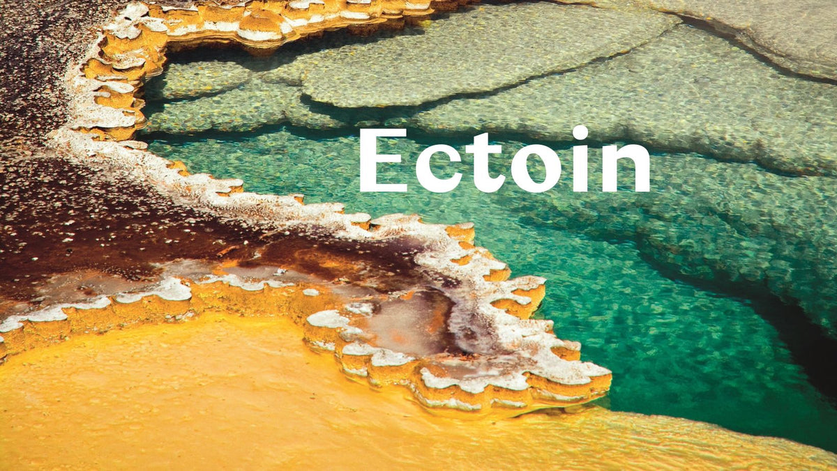 Ectoin: a Game Changer for Radiant Skin